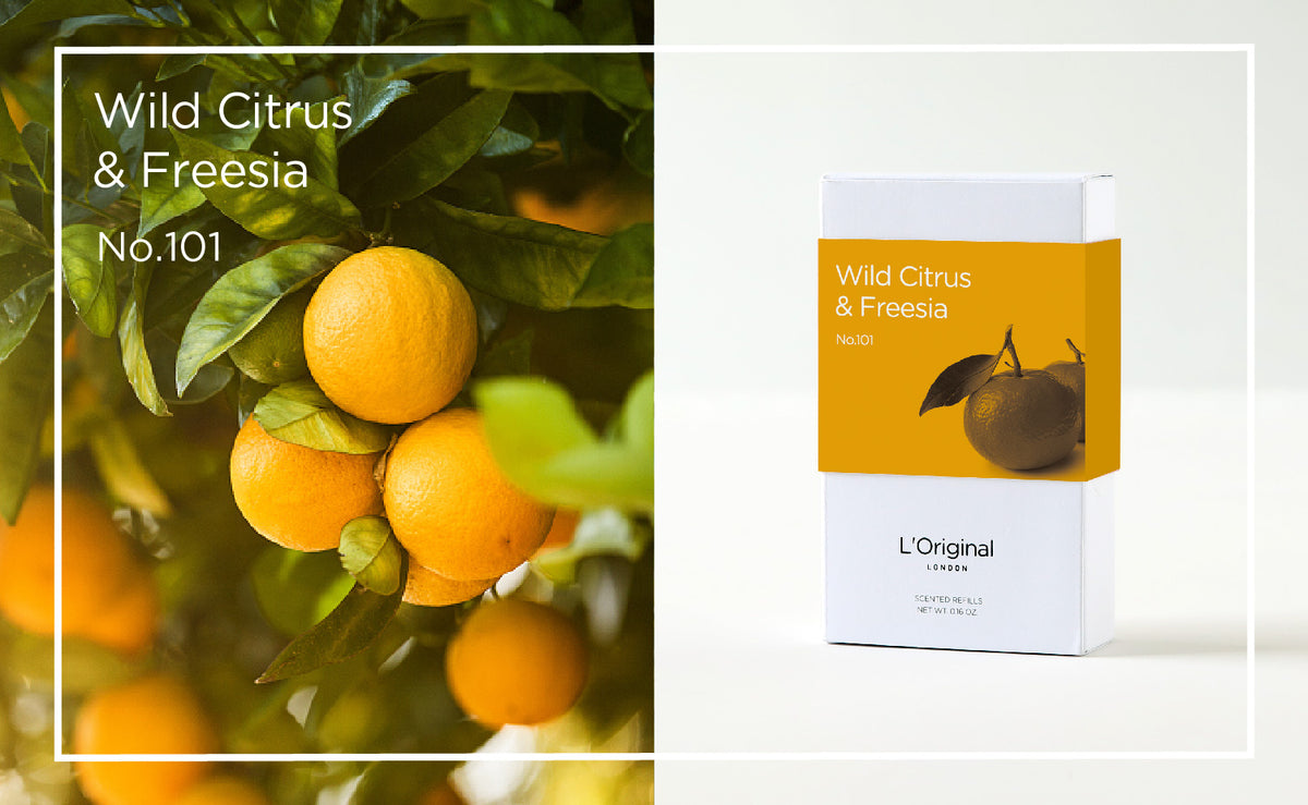 L'Original Metal Collection - Wild Citrus & Freesia x2 Scented Refills ...
